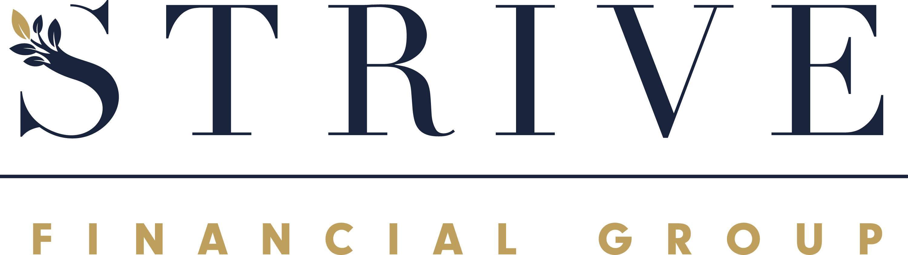 Strive Financial Group - Comprehensive Financial Services In The ...